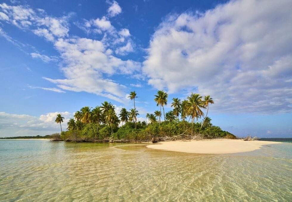 How to Survive on a Deserted Island - How to Survive Everything